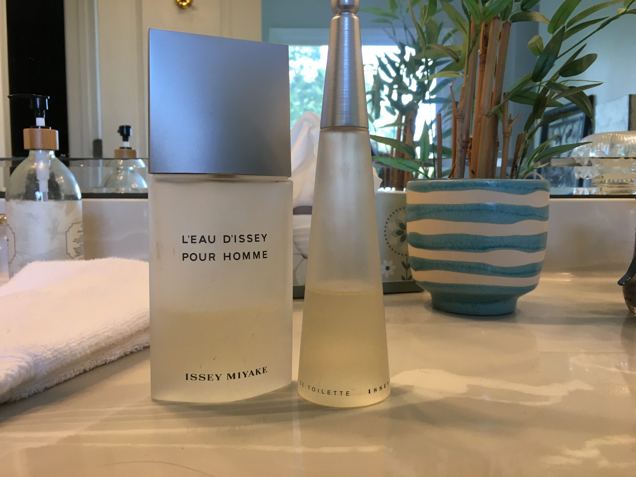 The Fragrance of Christ - Magnolia Place